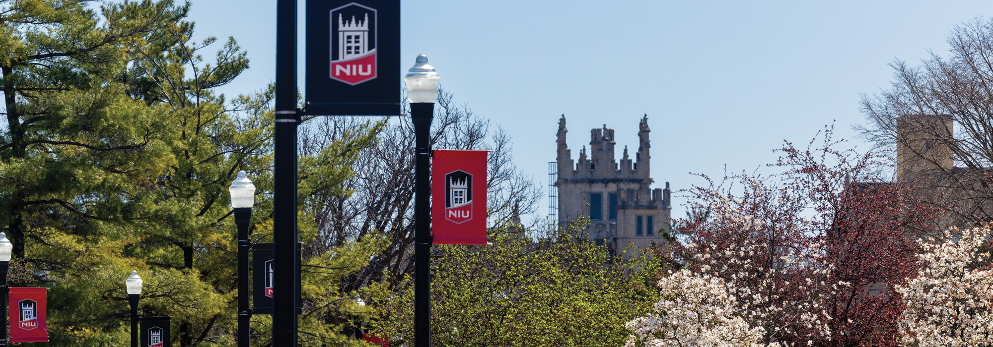 Chief of Police, Department of Police and Public Safety - Work at NIU ...